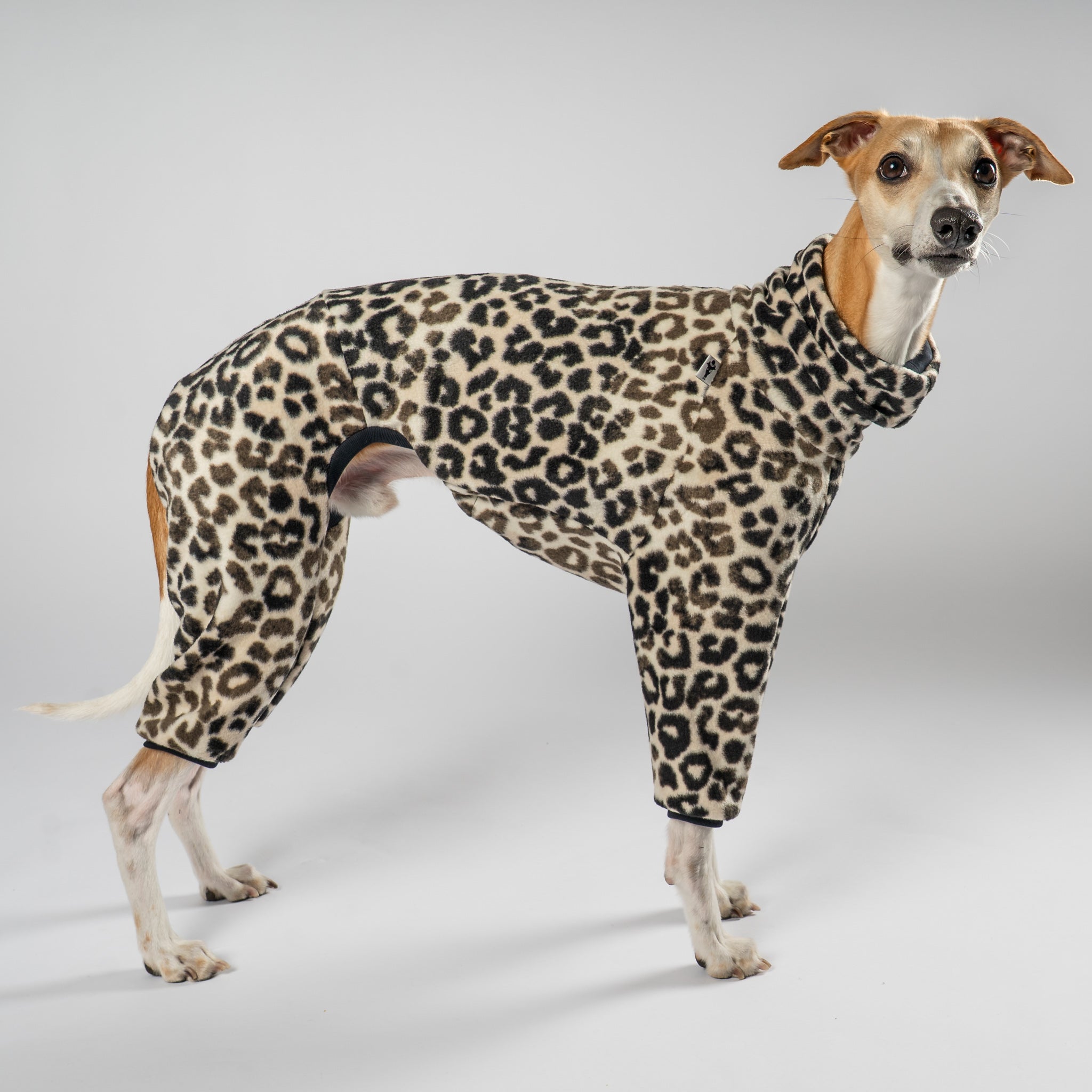 Windhund Overall & Pullover für Whippet, Galgo & Co. – Warm, Stylisch ...