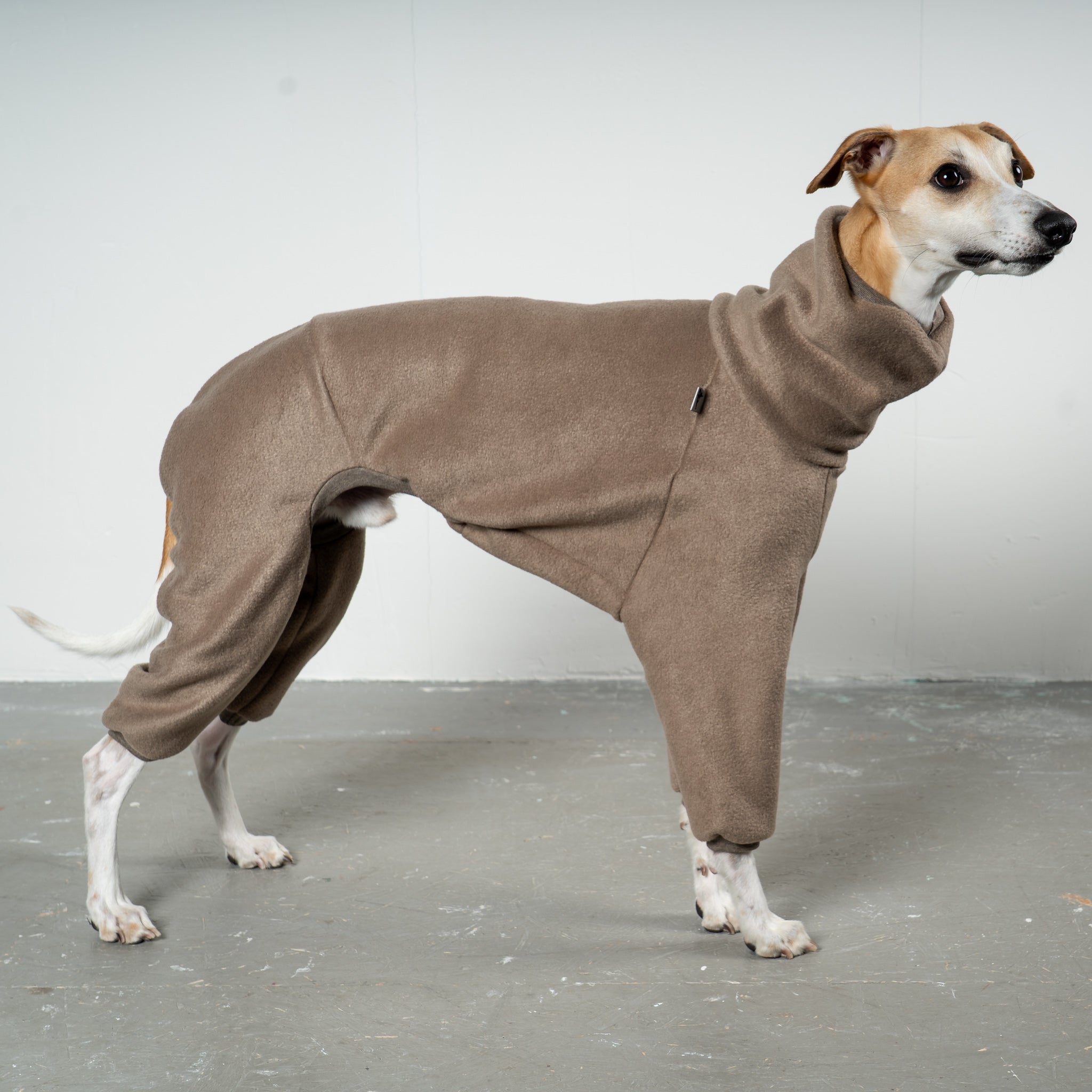 Windhund Overall & Pullover für Whippet, Galgo & Co. – Warm, Stylisch ...