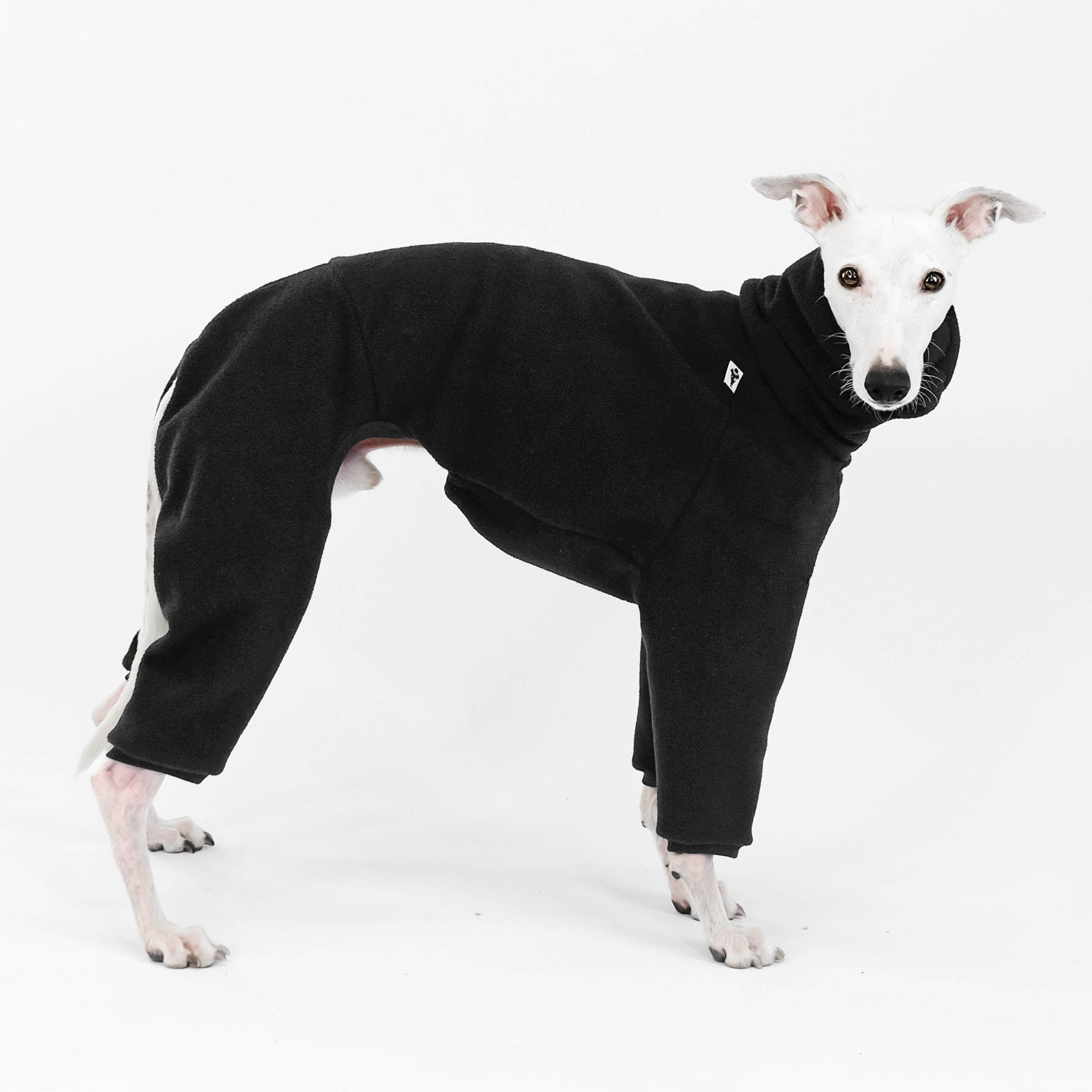 Windhund Overall & Pullover für Whippet, Galgo & Co. – Warm, Stylisch ...