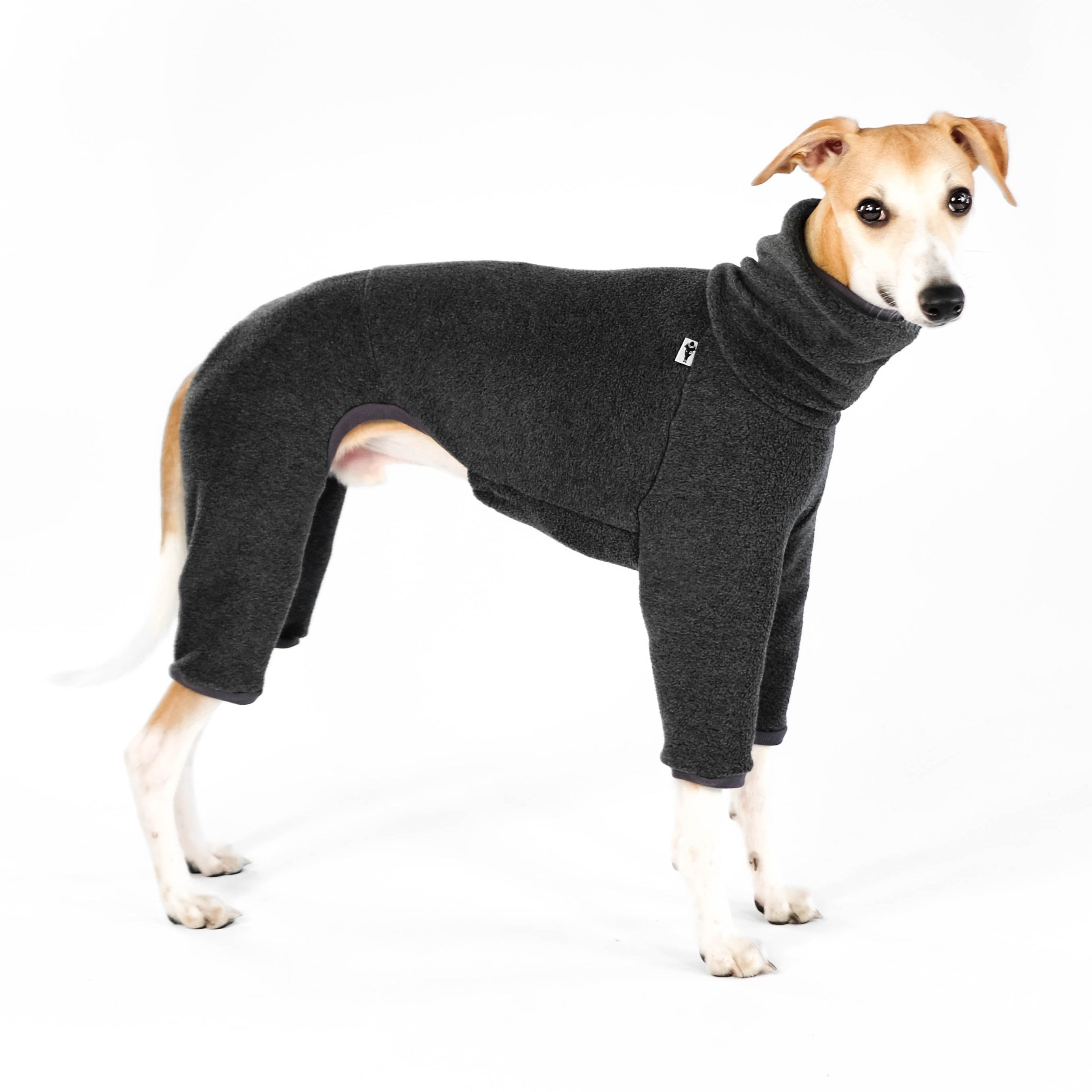 Windhund Overall & Pullover für Whippet, Galgo & Co. – Warm, Stylisch ...